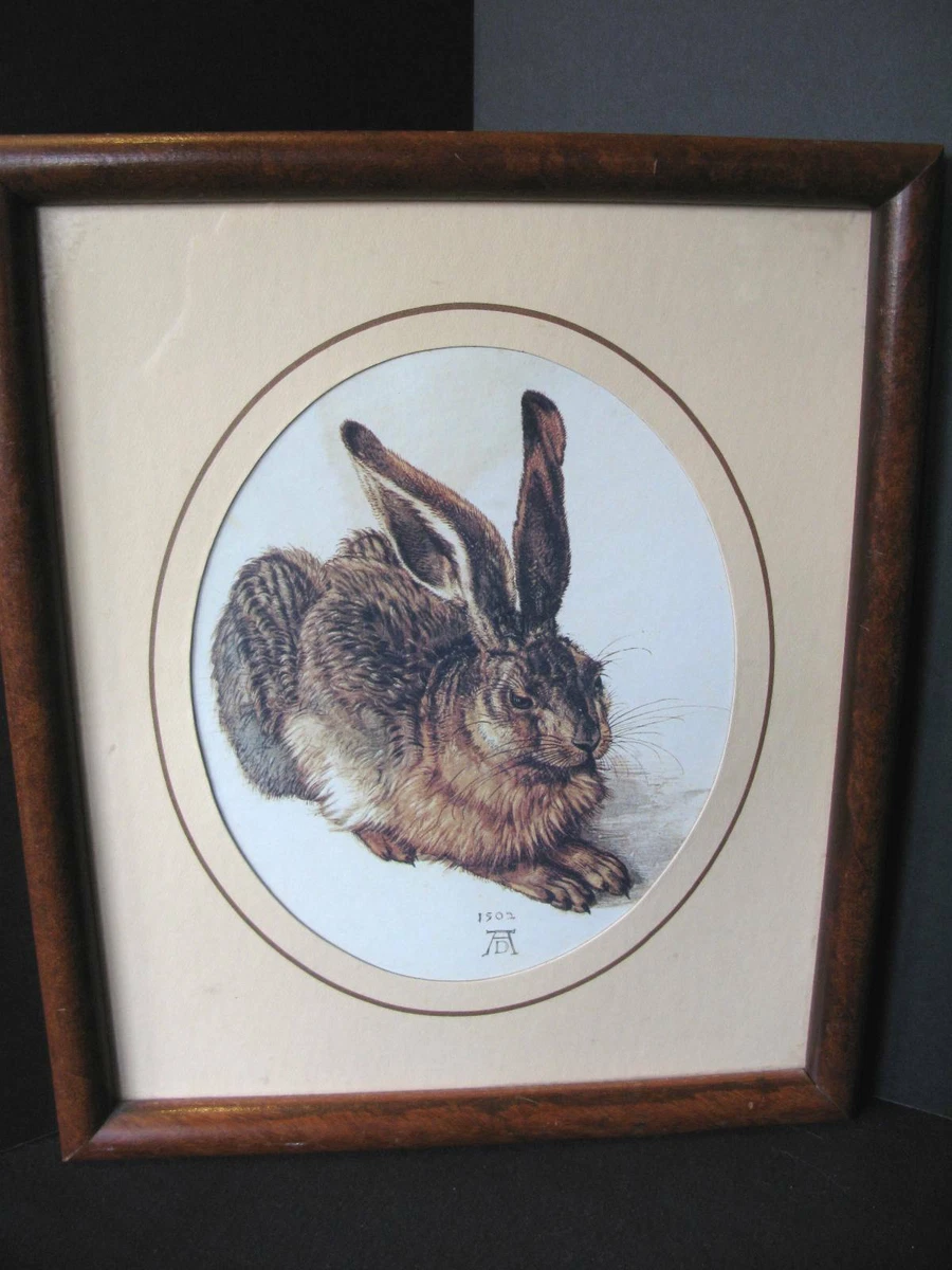 Young Hare Albrecht Durer