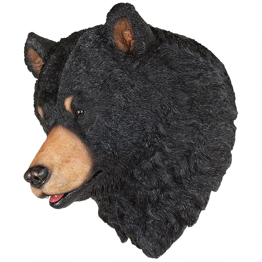 Mounted Bear Head