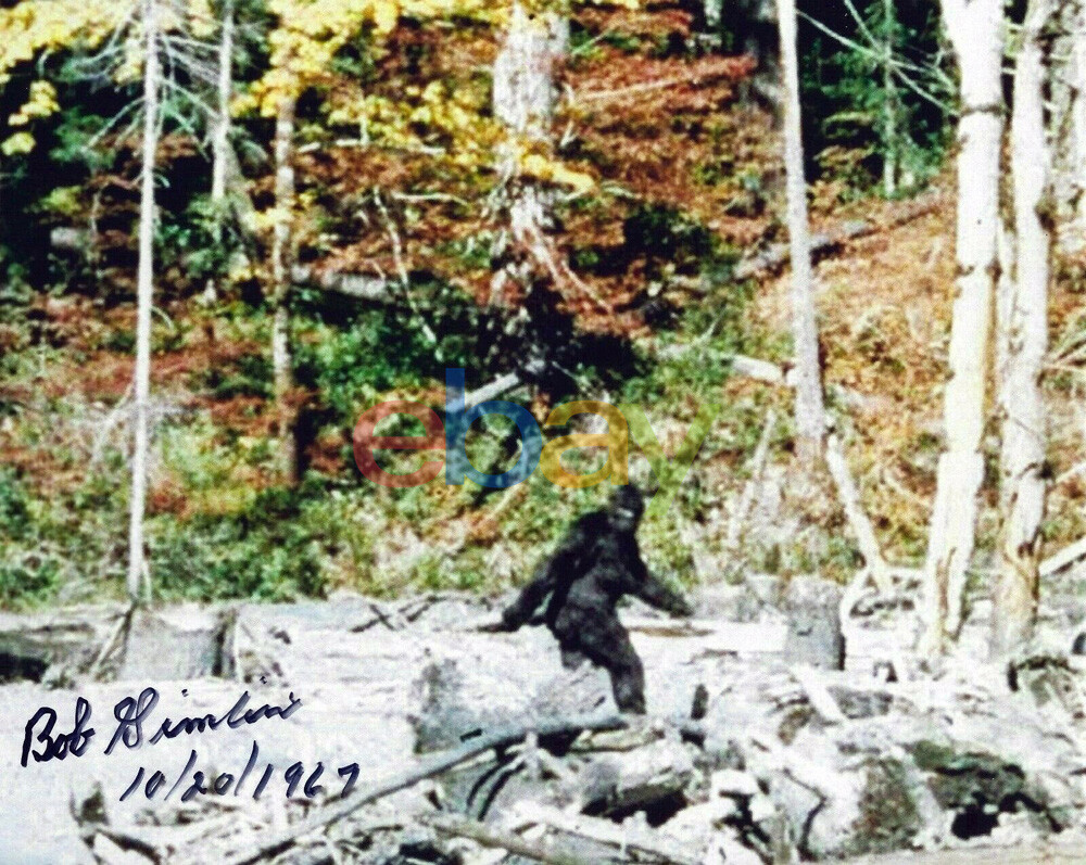 Bob Robert Gimlin BIGFOOT Patterson Gimlin Film Signed 8x10 Autographed ...