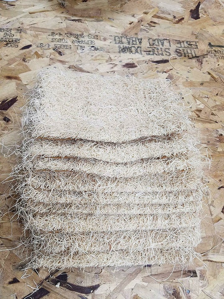 100 PACK! Baby Chick Shipping Box Excelsior pads Full Bale! | eBay