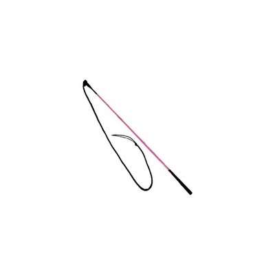 New Epic Animal Training Stick 48" stick w/ 5 1/2' drop & 6" popper | eBay