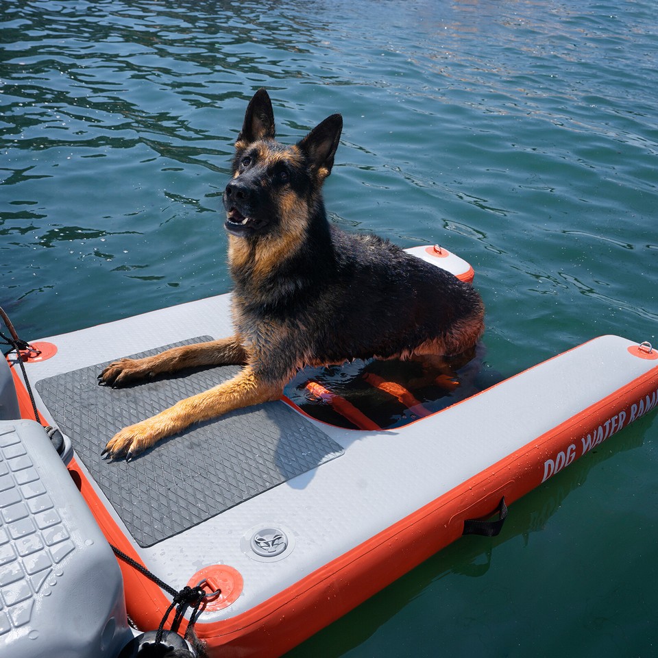 RYpetmia Large Inflatable Pup Plank Dog Water Ramp Pool Ramp Dog ...