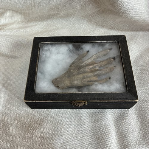 Mummified Kappa hand, Japanese unidentified creature, made of clay, UMA ...