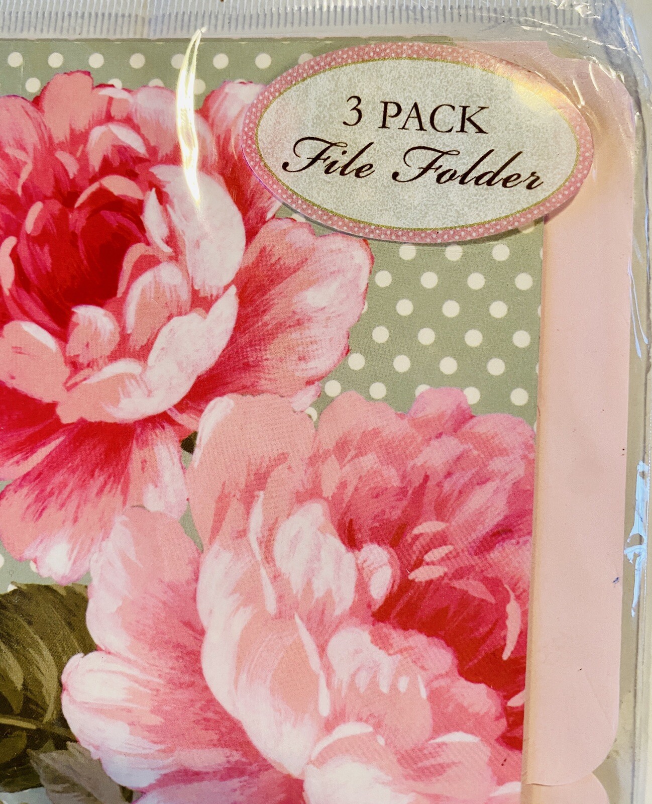 Ana Grace Collection Floral Collection 1/3 Cut Tab File Folders 3 Pack ...