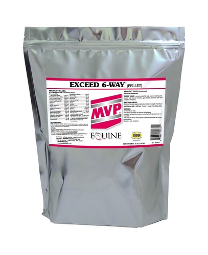 MVP Exceed 6-Way (8 lb) All in One High Level Performance Horse Support ...