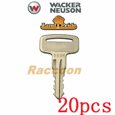 20pcs 6896 Wacker Neuson Roller Polaris Sportsman Ignition Key 160431 ...