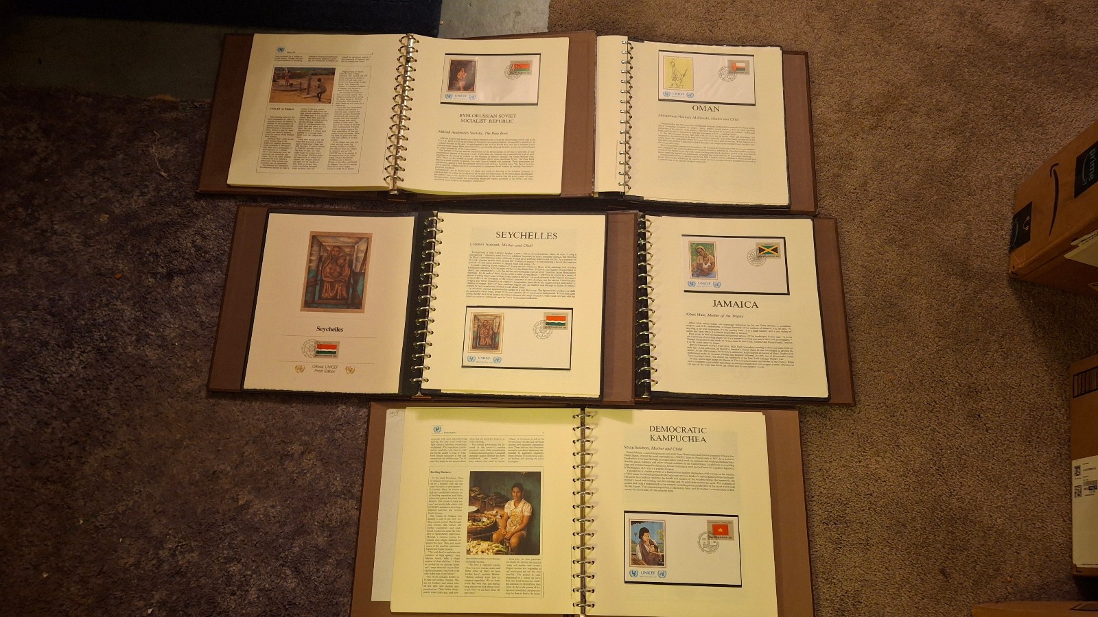 UNICEF -- Flags of the United Nations -- 5 Binders | eBay