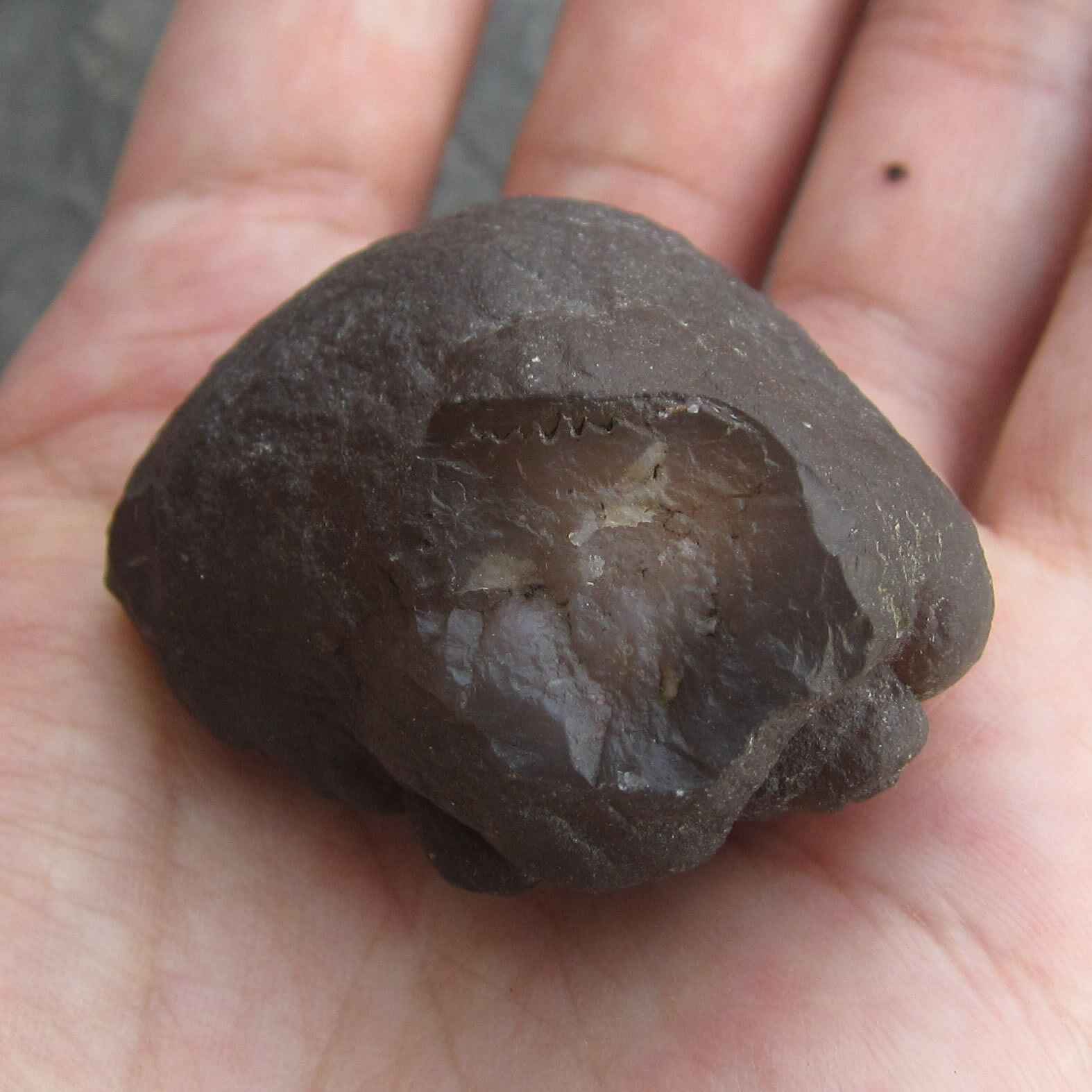 Natural Gobi rough agate/Jasper stone for Bonsai Suiseki gm638 | eBay