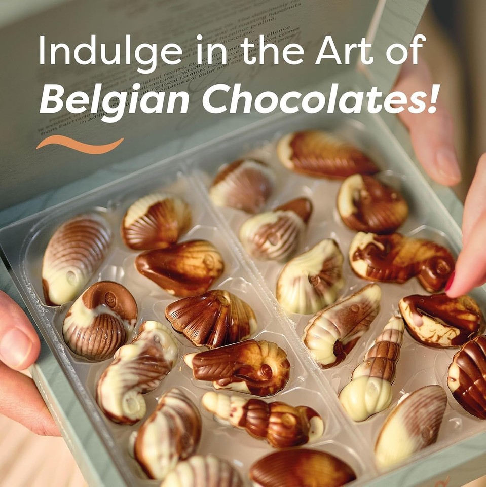 Guylian Belgian Chocolate Seashells 22pc – Hazelnut Praliné Gift Box | eBay