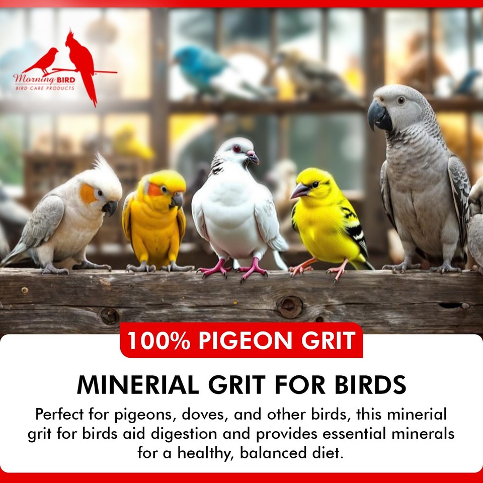 Morning Bird Pigeon Grit - Bird Food to Supports Strong Muscles & Bones ...
