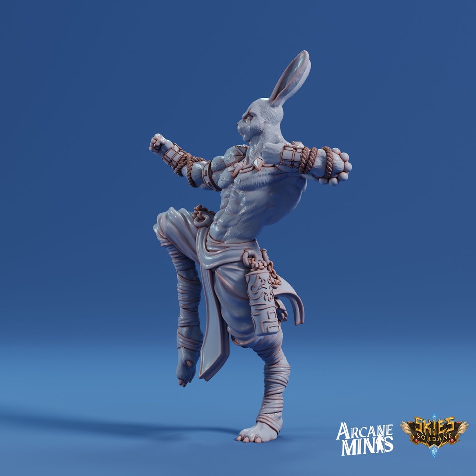 Rabbitfolk Monk Pose 1 | D&D Miniature Dungeons and Dragons Warrel ...