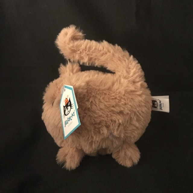 Jellycat Ginger Kitten Caboodle Plush Cat Kitty Lovey Stuffed Toy for ...