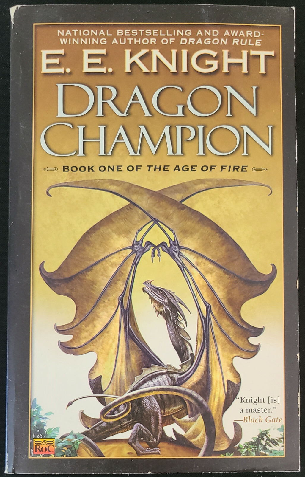 Dragon Champion by E. E. Knight (2010, Uk- a Format Paperback) for sale ...