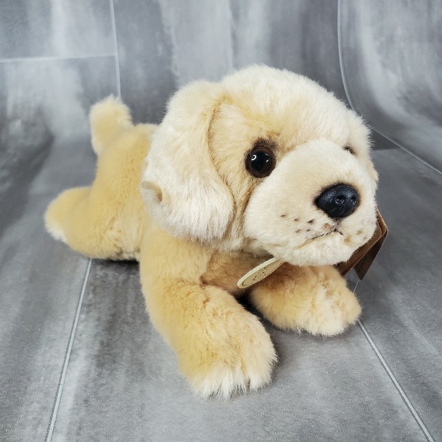 Golden Lab 8 Inch Miyoni Dog Puppy Stuffed Animal by Aurora Plush 10801 ...