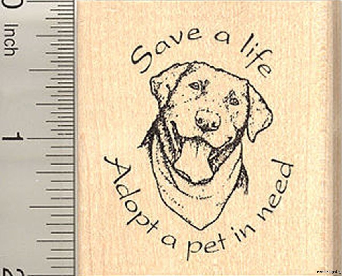 Dog Rescue Rubber Stamp, Save a life, Adopt a pet, Black Labrador 50511 ...