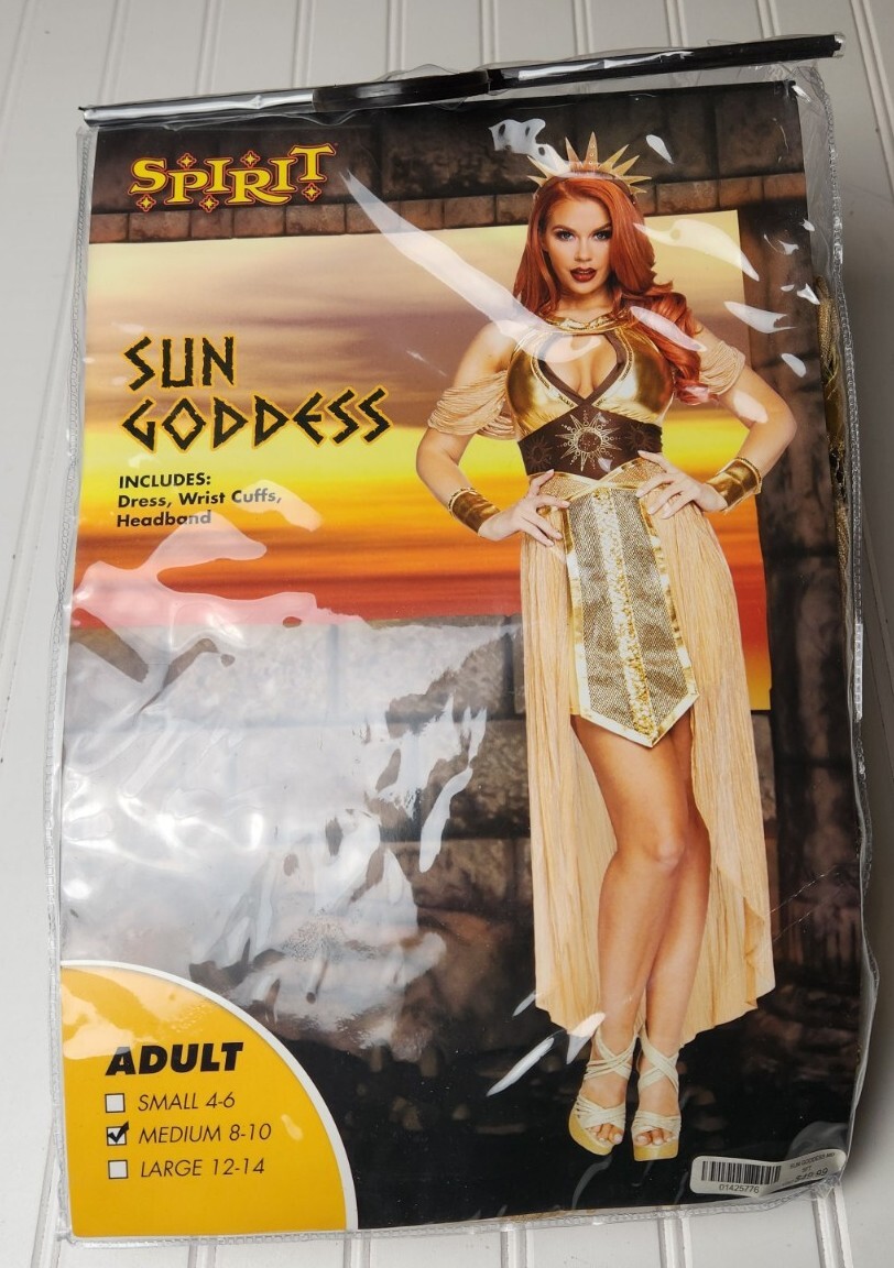 Spirit Halloween Gold Sun Goddess Costume Women's Med… - Gem