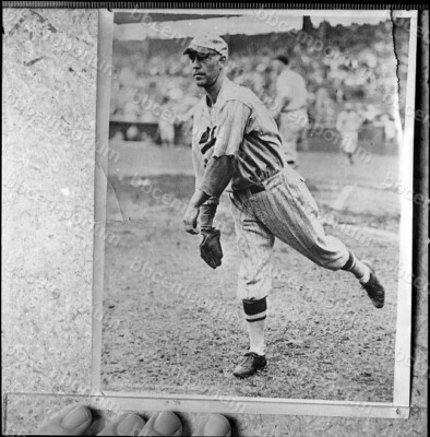 Sherdel Medium Frame Negative - Jim Rowe Archive D999 | eBay