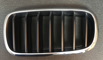 BMW X5 F15 Front Left Driver Side Kidney Grille 51137294485 OEM | eBay