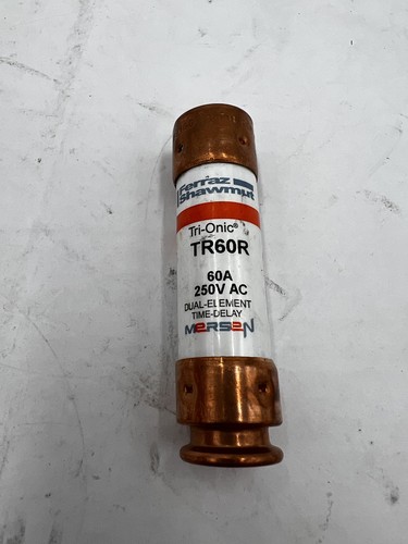 10 Pack Mersen-Ferraz Shawmut TR60R RK5 60A 250VAC Dual Element Time ...