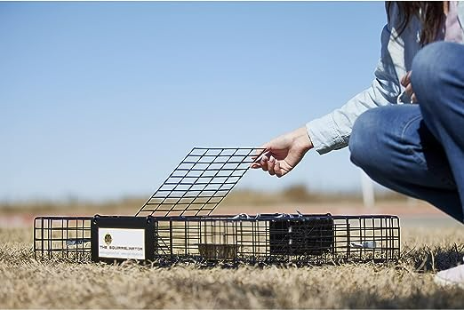 Rugged Ranch SQRTO Squirrelinator Trap CatchMor Live Animal 2 Door ...