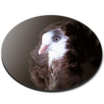 Round Mouse Mat White & Brown Jacobin Pigeon Bird #52441 | eBay UK
