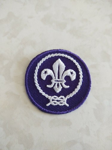 Purple World Scouting Insignia Crest Boy Scouts of America BSA Camp ...