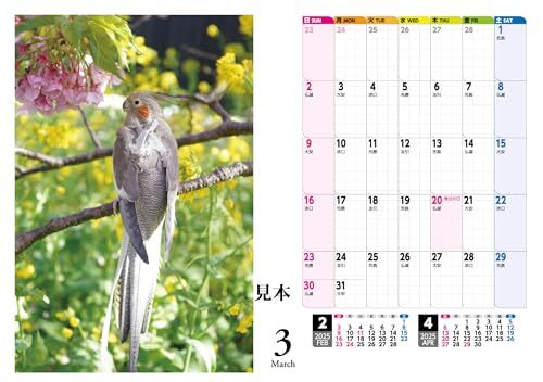 2025 Calendar Cockatiel Bird Photo B6 size A 3-way use Brand New | eBay