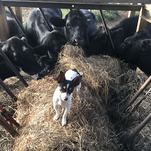 J&J Trading Post | eBay Stores