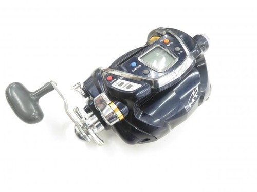 DAIWA MEGATWIN SEABORG 1000MT Fishing Reel #018 | eBay