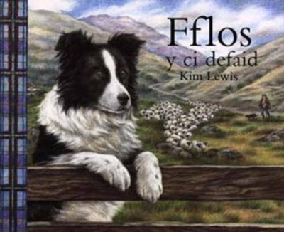 Fflos y Ci Defaid by Lewis, Kim Paperback Book The Fast Free Shipping ...