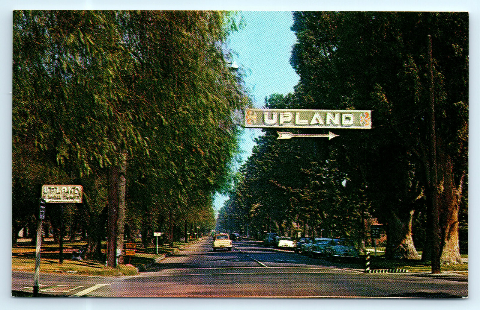 Euclid Ave Upland Pepper Tree Rows Street Signs Neighborhood CA Vintage ...