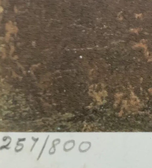 KEN SMALLWOOD - Autumn Meadow - Pheasants - Ltd Ed Print - Hand Signed ...