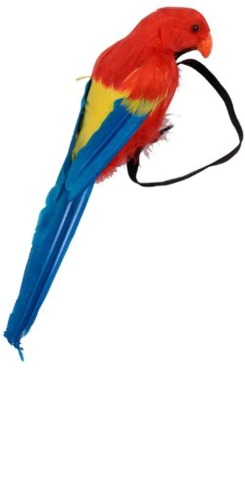 50cm Shoulder Parrot Adults Pirate Fancy Dress Costume Prop Mens Ladies ...
