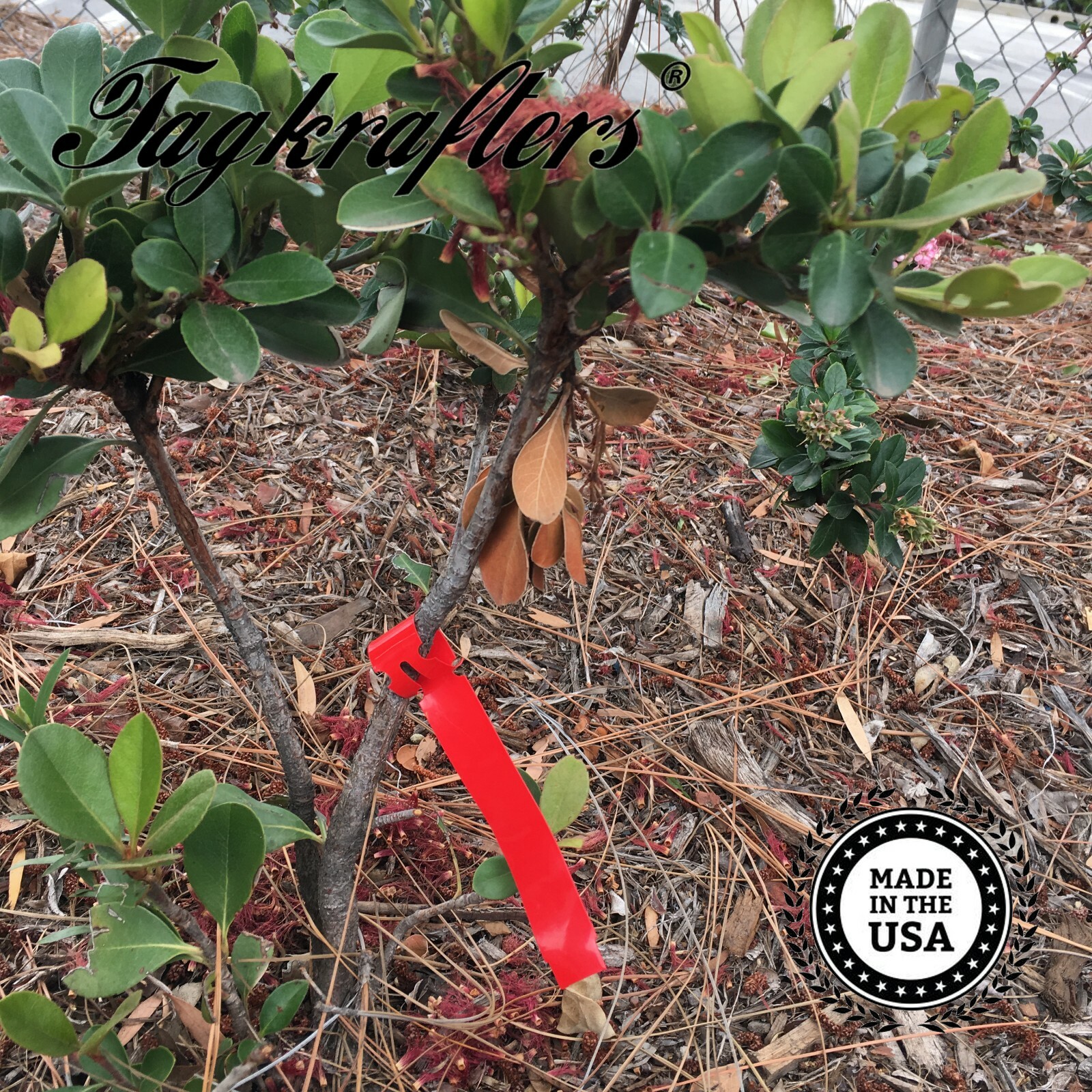 Waterproof Garden Nursery Plastic Plant Tag Tree Label ASSORTED COLORS ...