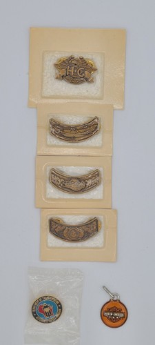 HARLEY OWNERS GROUP H.O.G. MEMBER ROCKER PINS - Sealed. Lot of 4. | eBay