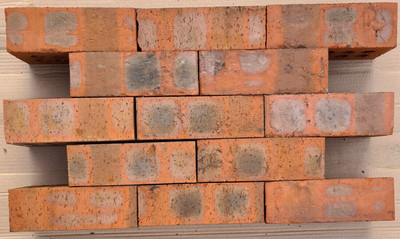 Lagan Brick Multi Red Dragface 73mm Brick - 500 Bricks Per Pack (Firsts ...