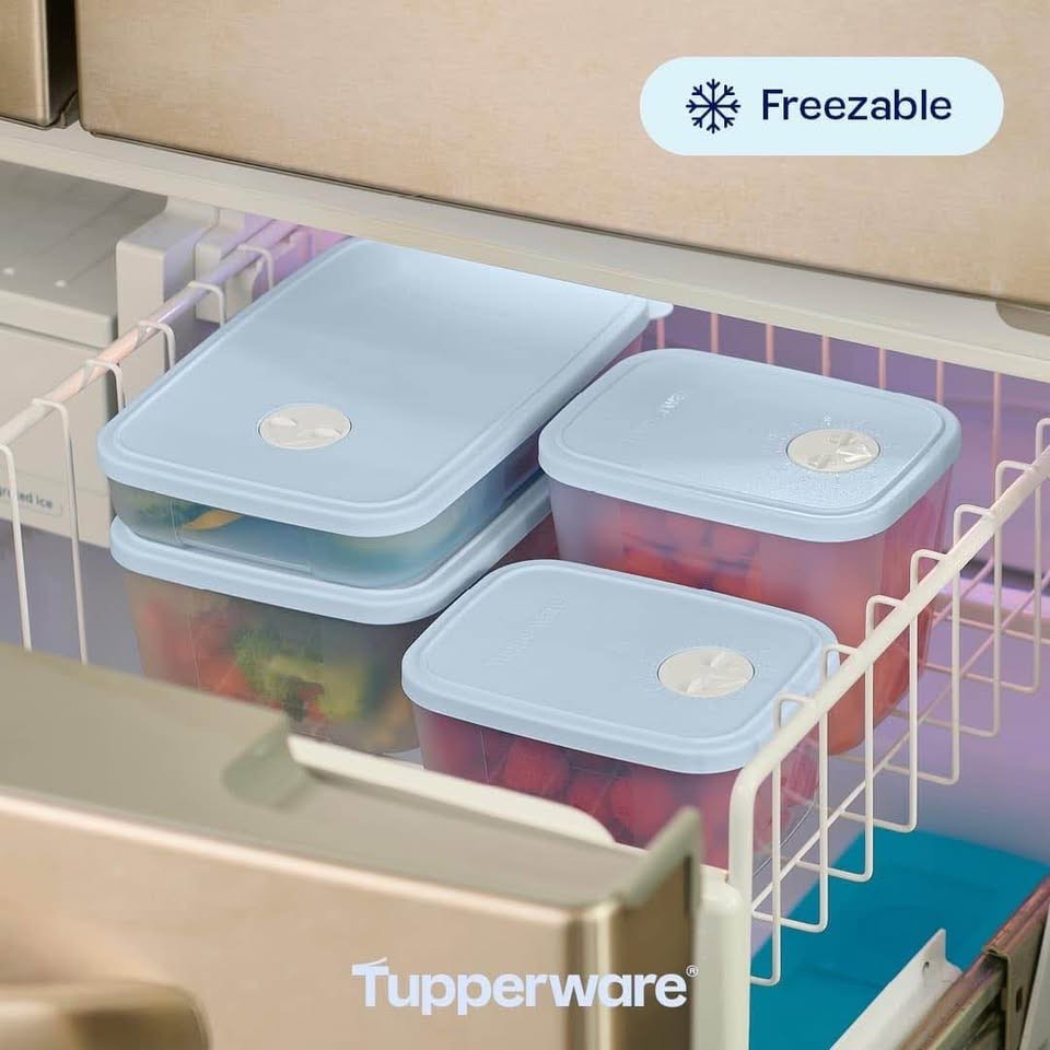 Tupperware Freeze Date and Store - Freezer Mate DIY Storage Container ...