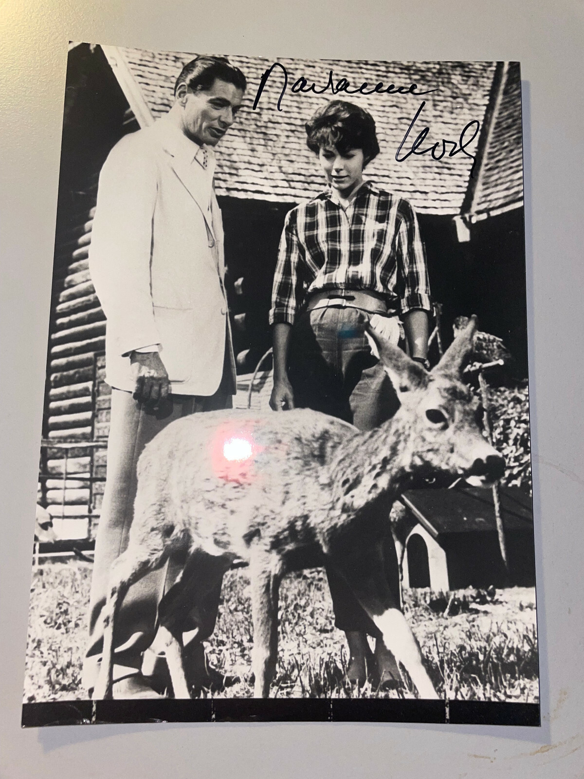 Marianne Cook Original Signature On Card No. Ray Af- 416 | eBay