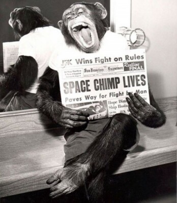 Set of 3 Ham The Astrochimp Chimp USA Space NASA Photo Wall Art Photos ...