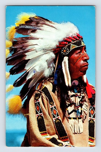 Postcard Native American Sioux Indian Warrior Head Dress 1960s Unposted ...