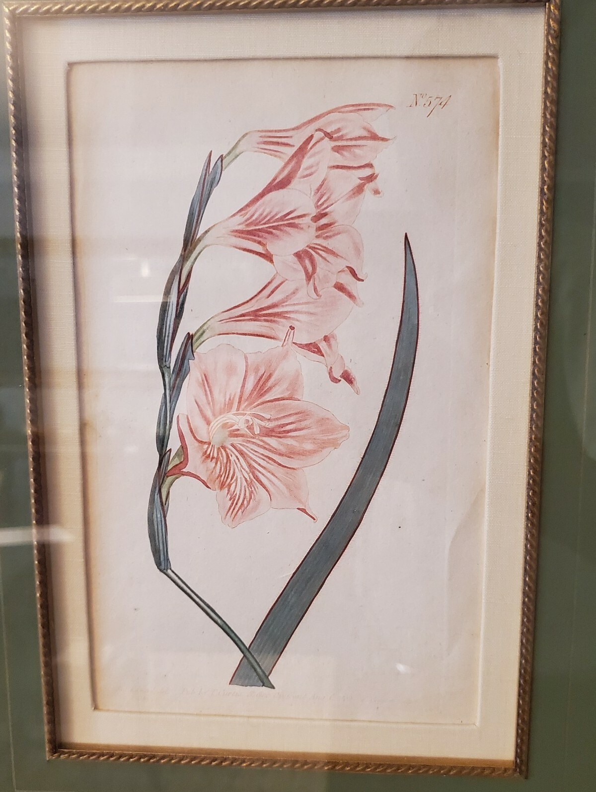 Syd Edwards Set of 2 Framed Colored Prints Published by T Curtis Circa ...