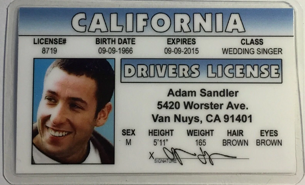 Adam Sandler Driving