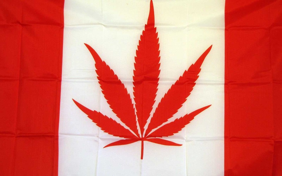 CANADA MARIJUANA 3' X 5' POLY FLAG | eBay