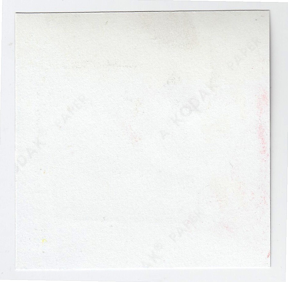 Nudismus JUNGE NACKTE BEIM SPORT IN DER NATUR * Vintage Photo um 1970 ...