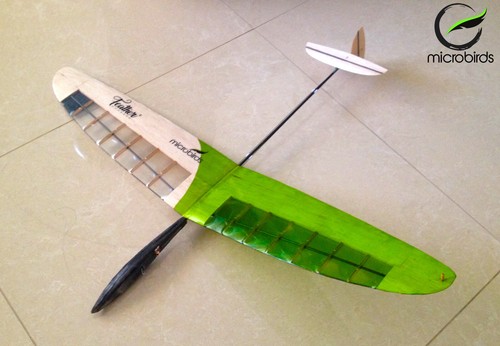 Feather DLG RC Glider Kit Ultralight Discsu launch Glider MicroBirds ...