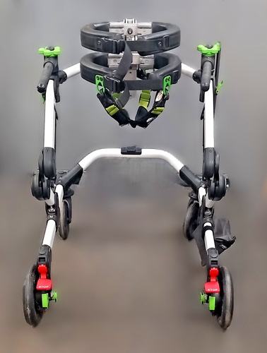 GRILLO BY ORMESA SMALL FRONT DRIVE GAIT TRAINER WALKER vat exempt | eBay UK