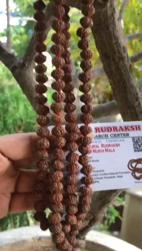 LAB CERTIFIED Rare 9 Mukhi RUDRAKSHA Rudraksh Mala ROSARY 108+1 Prayer Beads | eBay