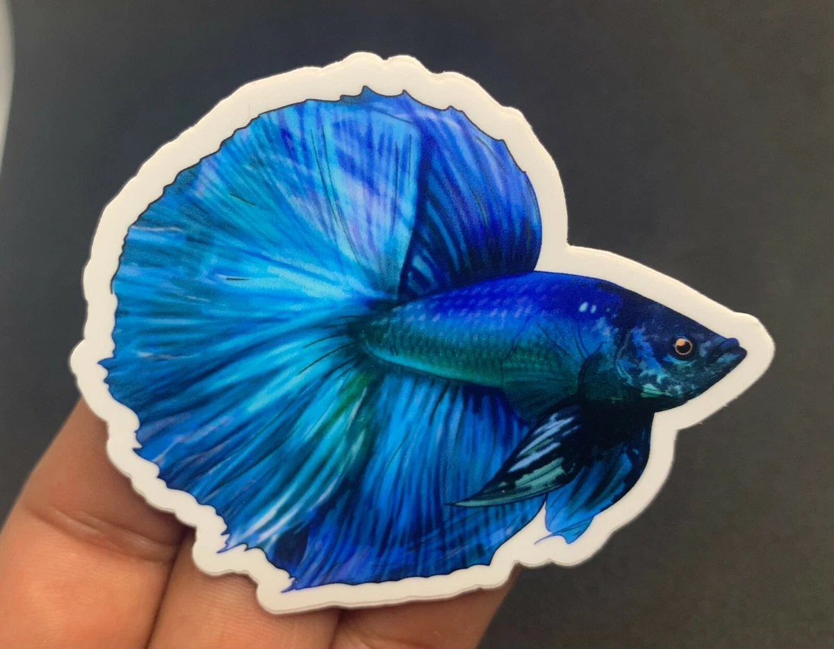 Double Tail Betta Fish