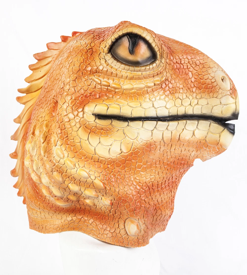 Lizard Woman Costume