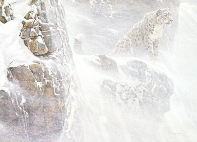 Robert Bateman -High Kingdon - Snow Leopard -S/N Paper Print -Size 20"x ...